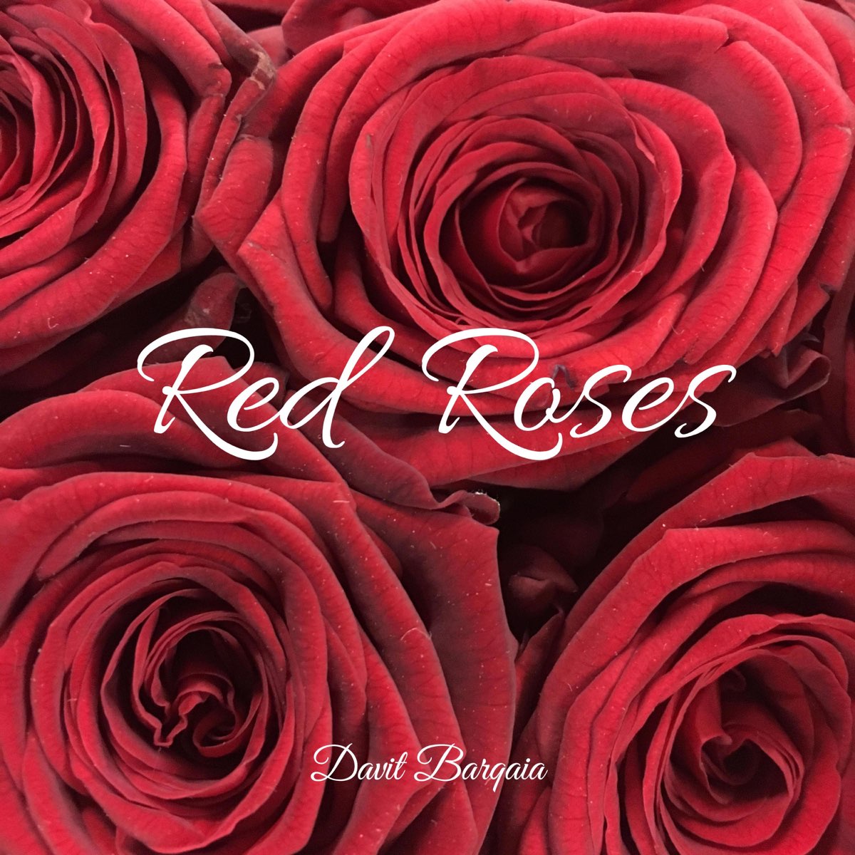 ‎Red Roses - Single - Album by Davit Barqaia - Apple Music