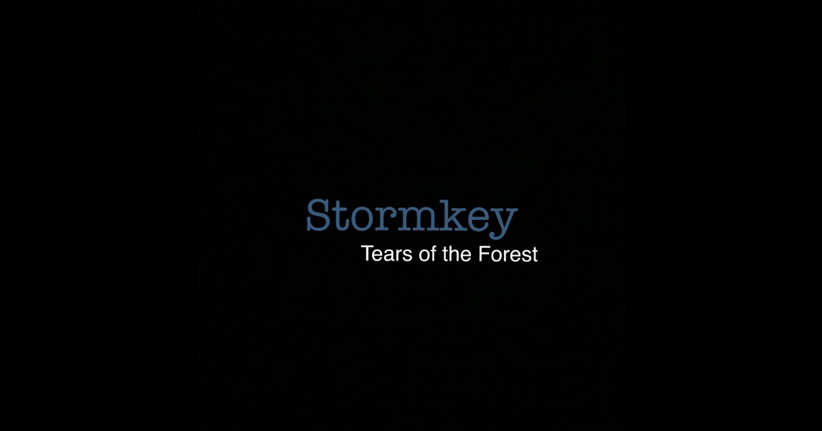 ‎Tears of the Forest - Single - Album by stormkey - Apple Music