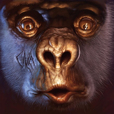 Hotter Stuff (Rare & Unreleased Chapter 2) - album by The Chuck Norris ...