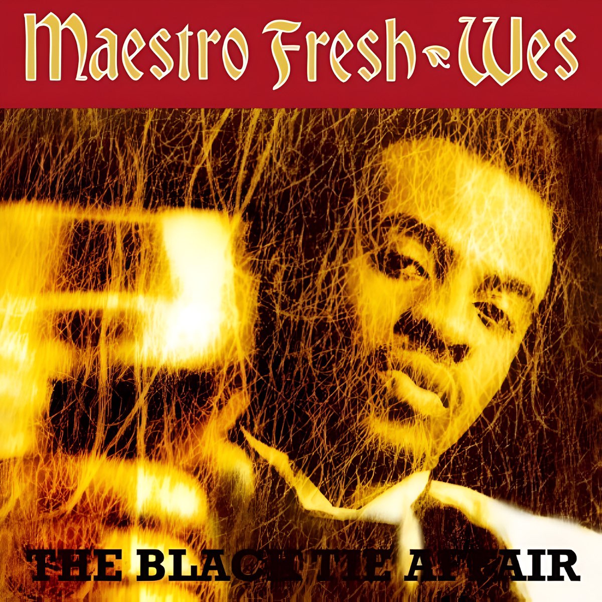 the Black Tie Affair — álbum De Maestro Fresh Wes — Apple Music