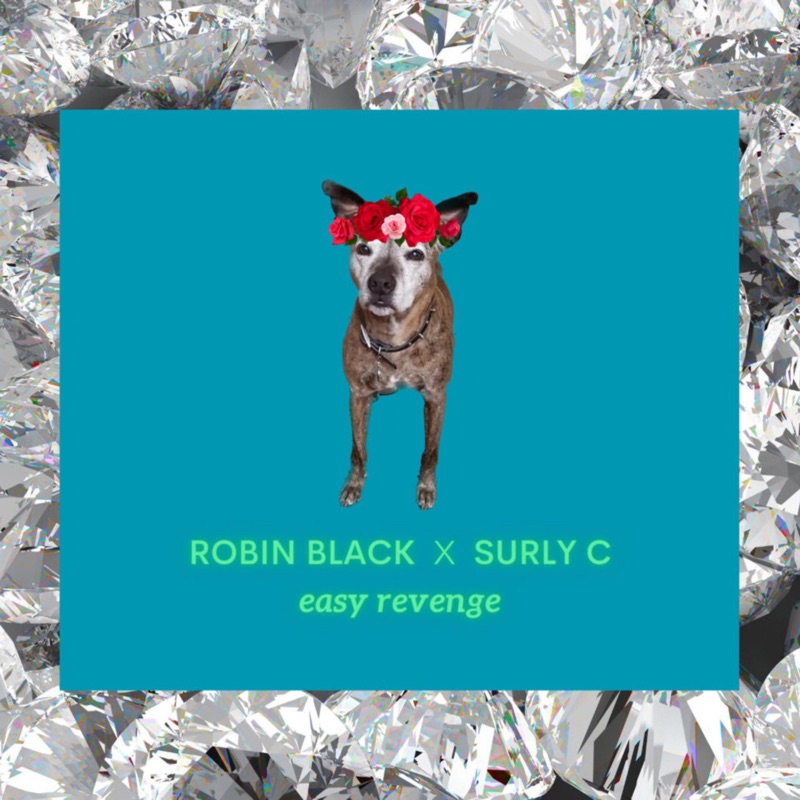 Chainsaw Mane - Robin Black: Song Lyrics, Music Videos & Concerts
