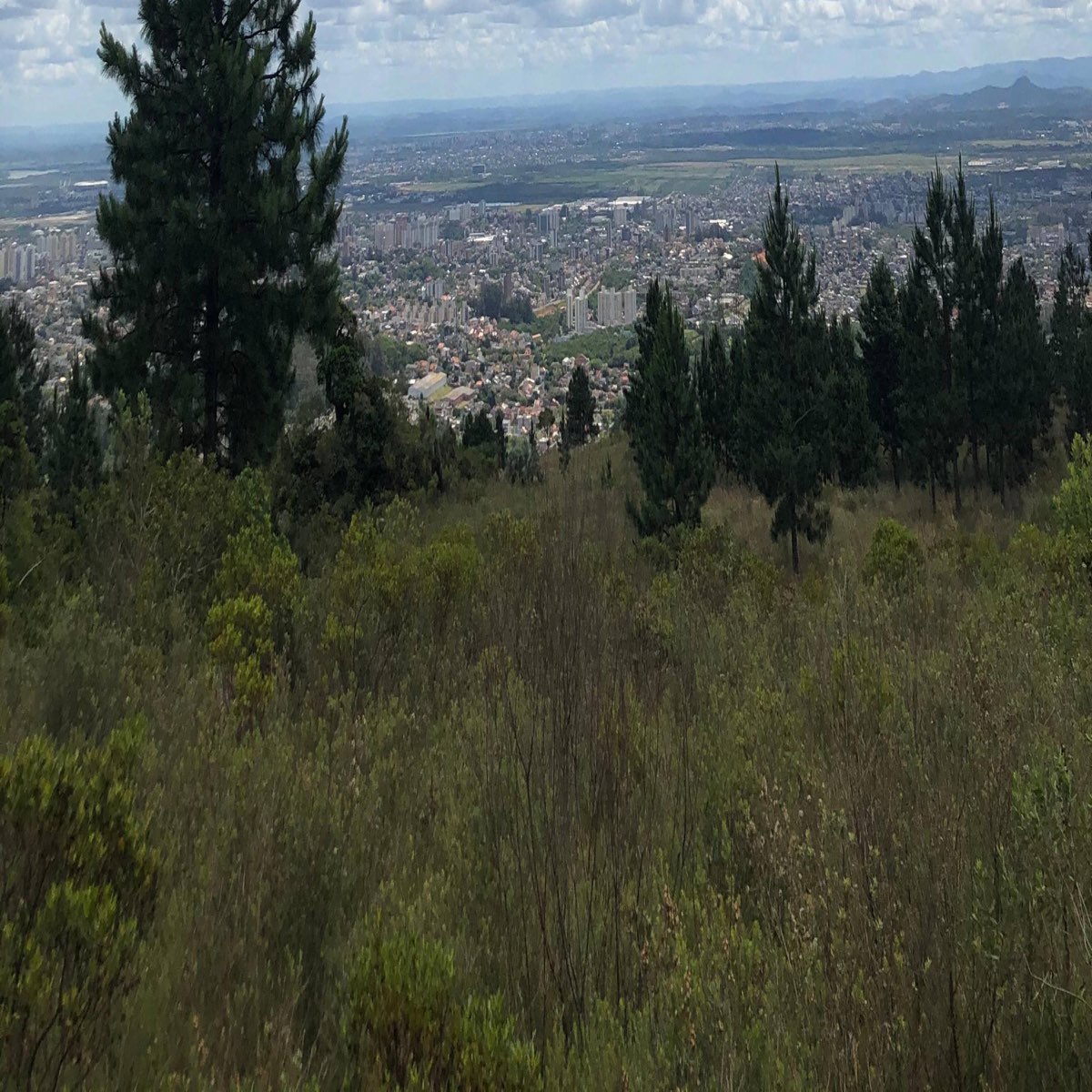 ‎Say Goodbye - Single - Album by Lodoni - Apple Music