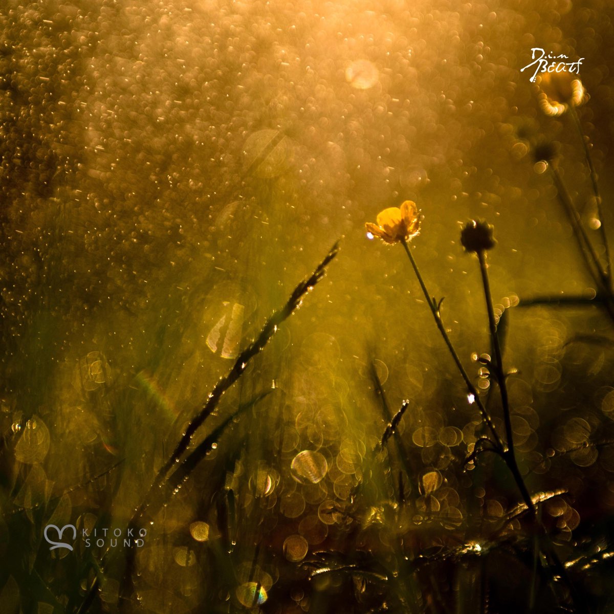 ‎Tormenta (feat. Jazzy Rhodes) - Single - Album by Arándano & Kitoko ...