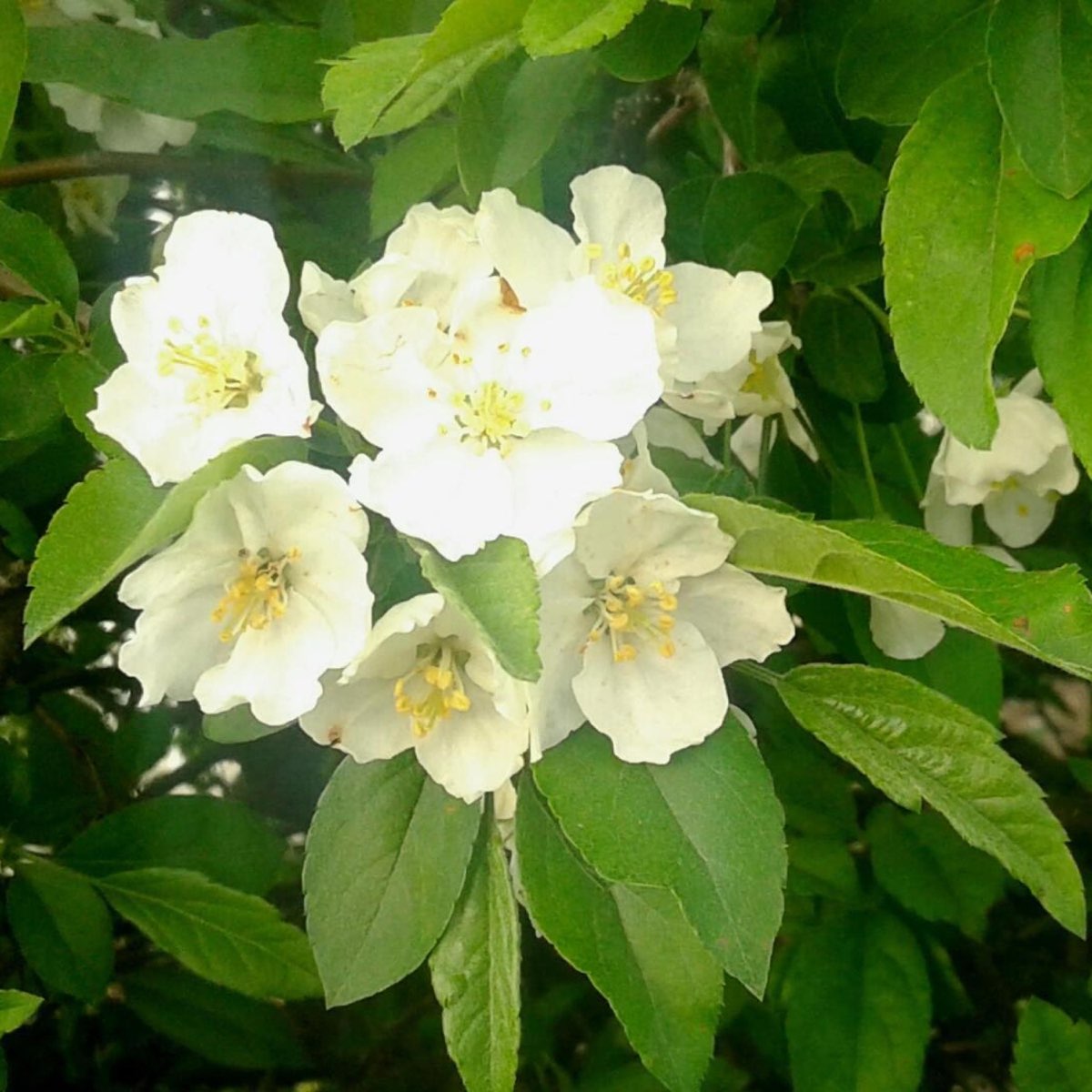 ‎Circa 8 years: A Look Back, Vol. 1 - Album by Murdvert - Apple Music