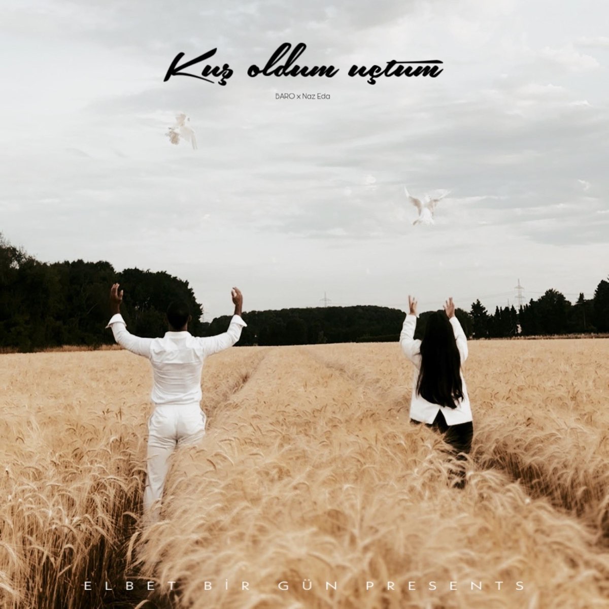 ‎KUŞ OLDUM UÇTUM (feat. Naz Eda) - Single - Album by BARO - Apple Music