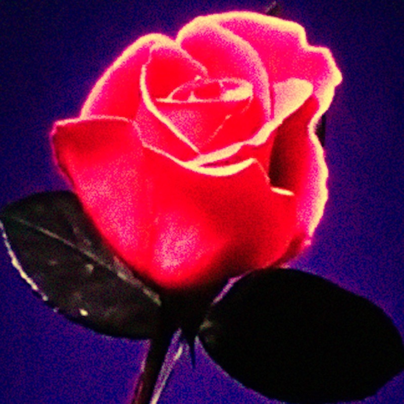 The Most - Dis: Song Lyrics, Music Videos & Concerts