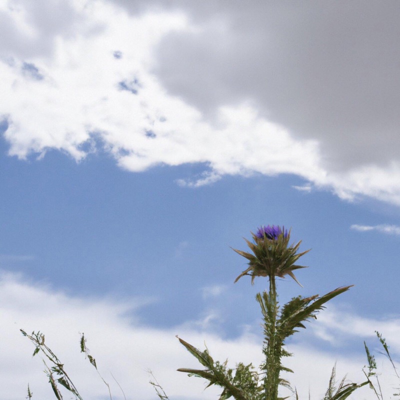 Egress (Second Hall) - Post NC: Song Lyrics, Music Videos & Concerts