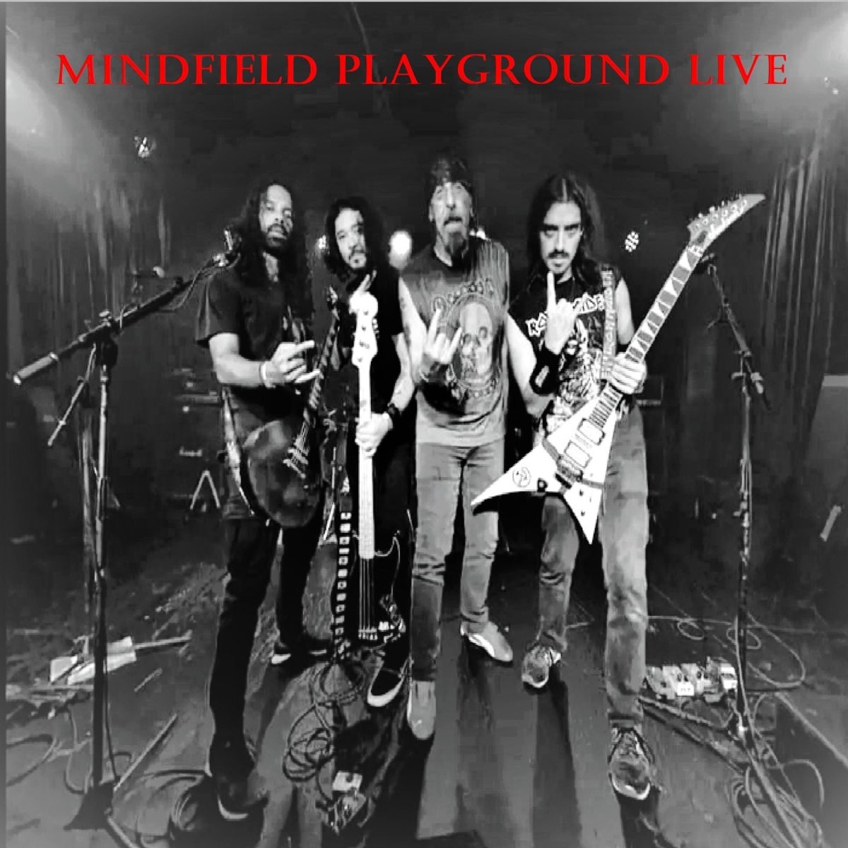 ‎Mindfield Playground Live - Album by Mindfield Playground - Apple Music