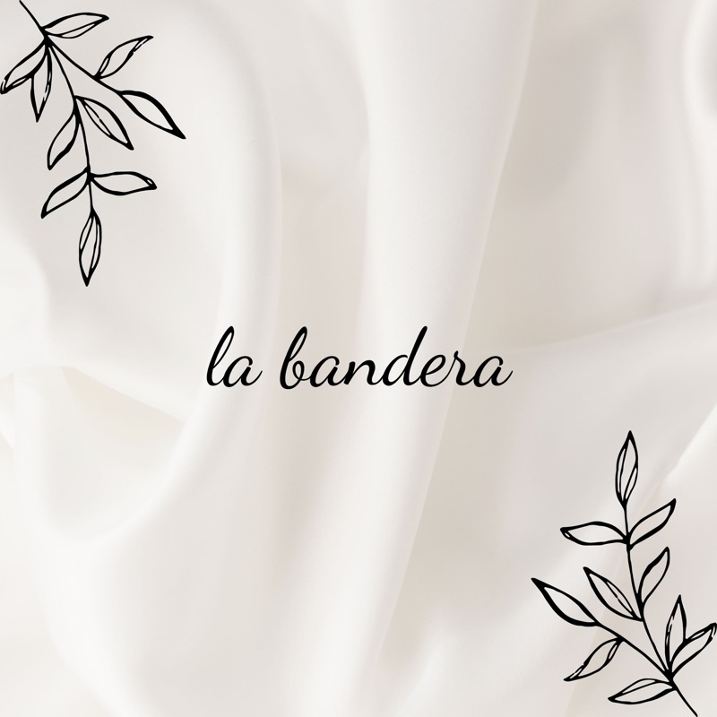 La Bandera - Mr Jaime Reina: Song Lyrics, Music Videos & Concerts