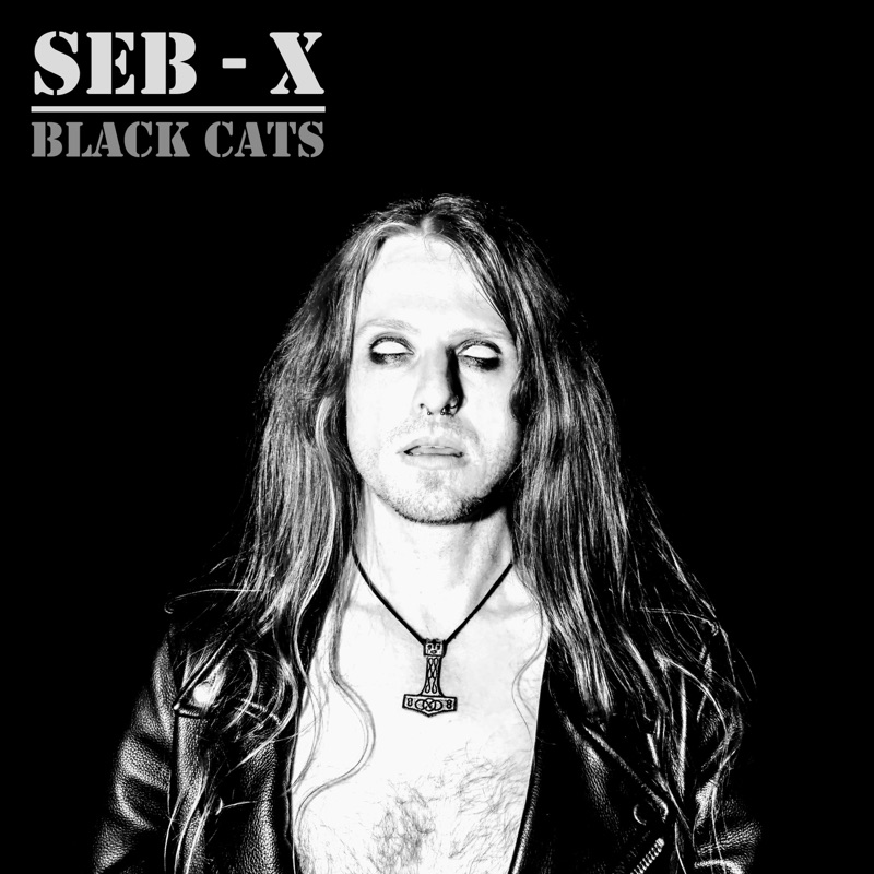 Black Cats - Seb-X: Song Lyrics, Music Videos & Concerts