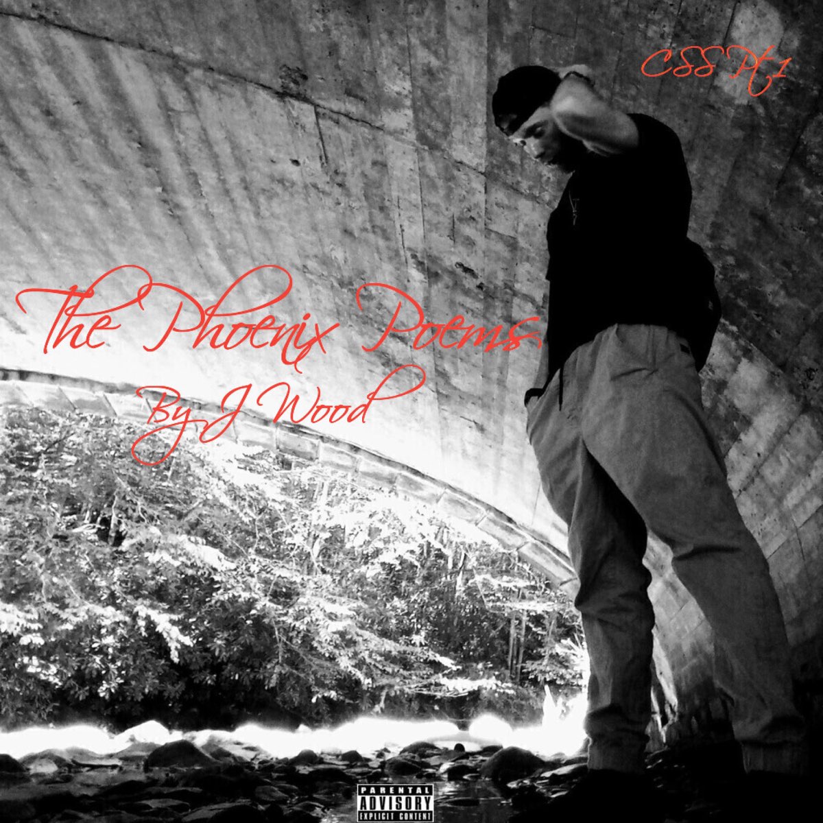 ‎The Phoenix Poems CSS, Pt. 1 - Album by J Wood - Apple Music