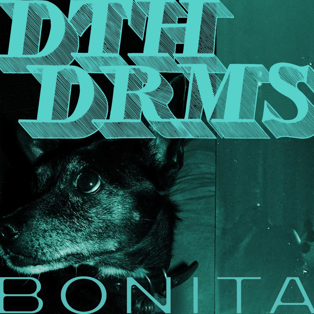 ‎Bonita - Album by DTH DRMS - Apple Music