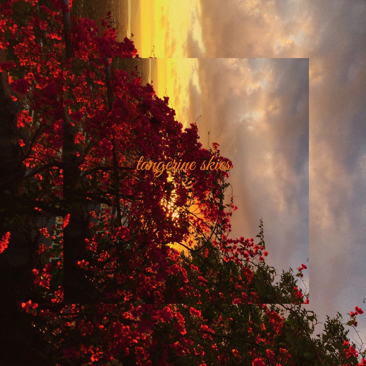 ‎Tangerine Skies - Single - Album by Edwin Raphael - Apple Music