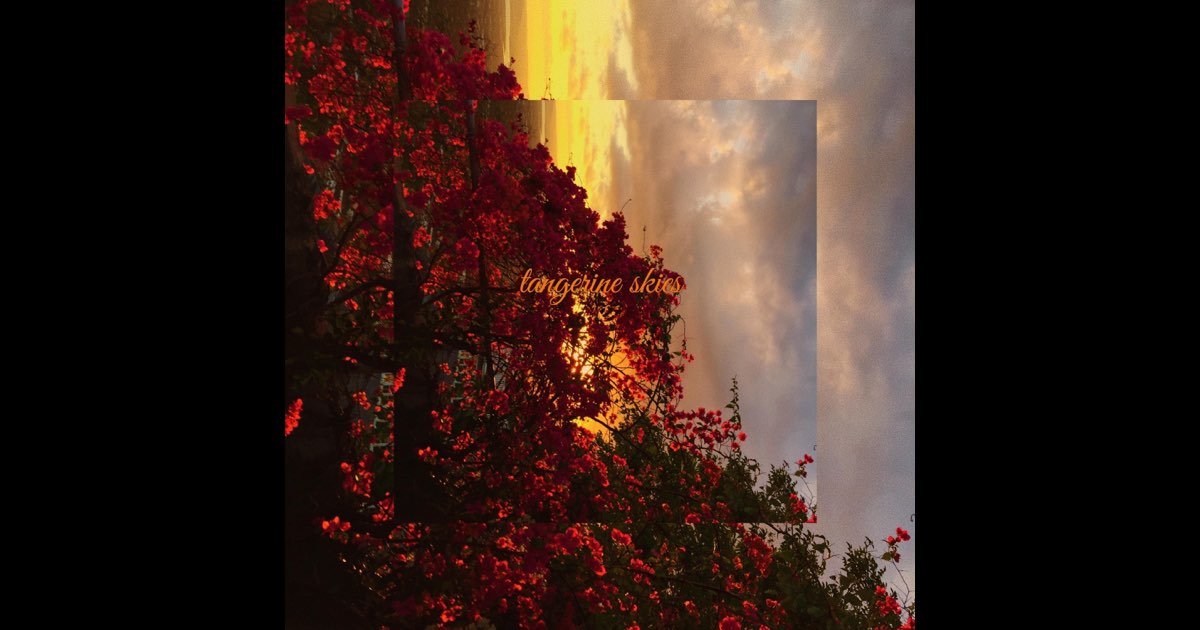 ‎Tangerine Skies - Single - Album by Edwin Raphael - Apple Music