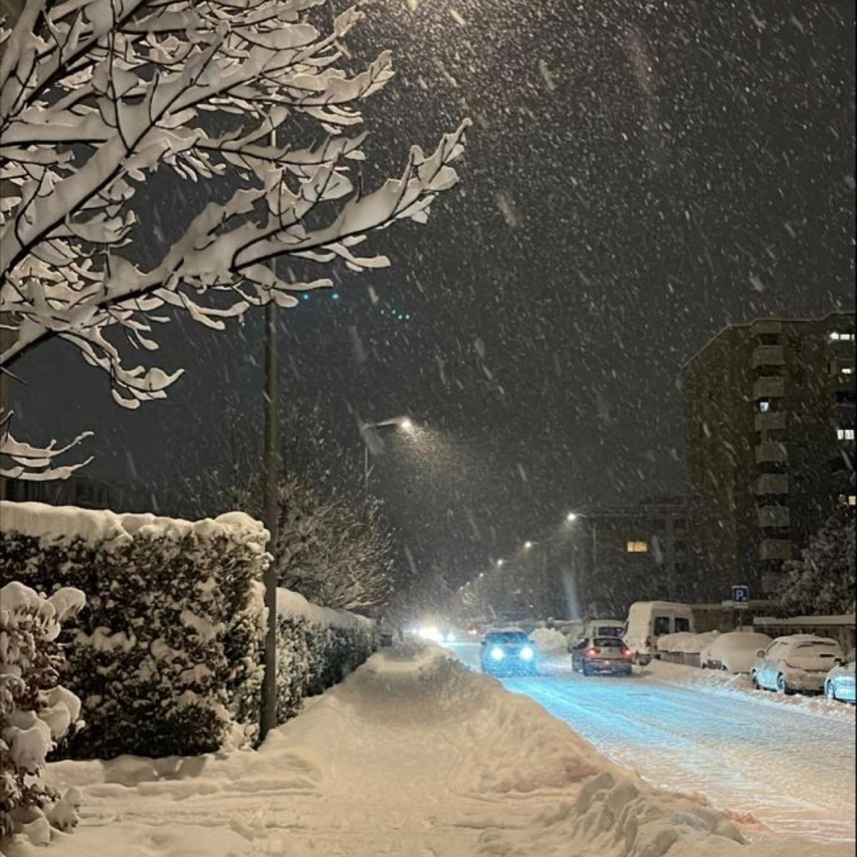 ‎Songs For a Cold December - Album by LM Law - Apple Music