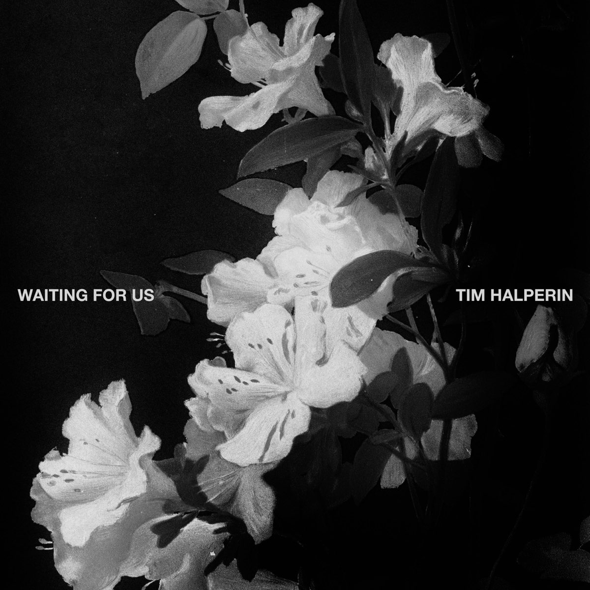 Waiting For Us (Orchestral) - Single》- Tim Halperin的专辑 - Apple Music