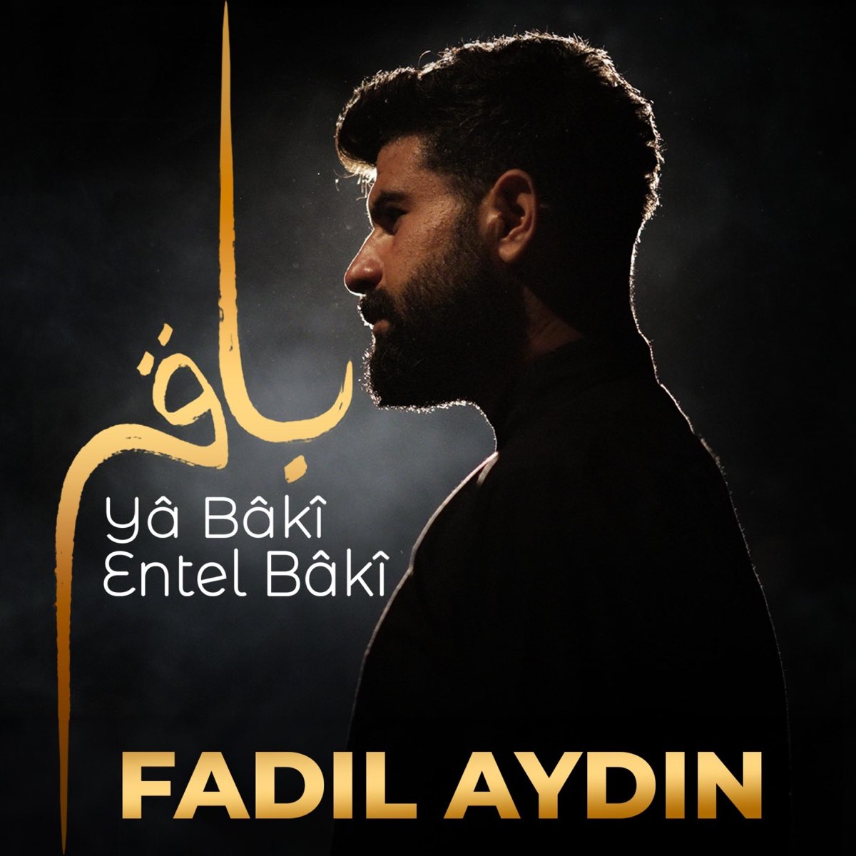 ‎Ya Baki Entel Baki - Single - Album by Fadıl Aydın - Apple Music