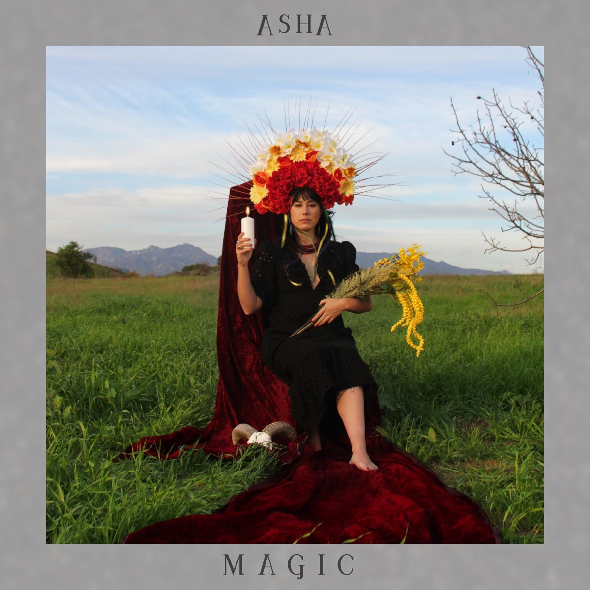‎Magic - Ashaのアルバム - Apple Music