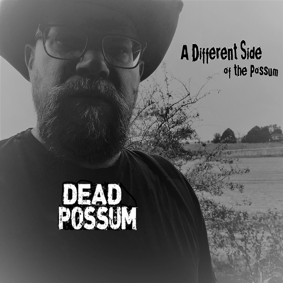 ‎A Different Side of the Possum by Dead possum on Apple Music