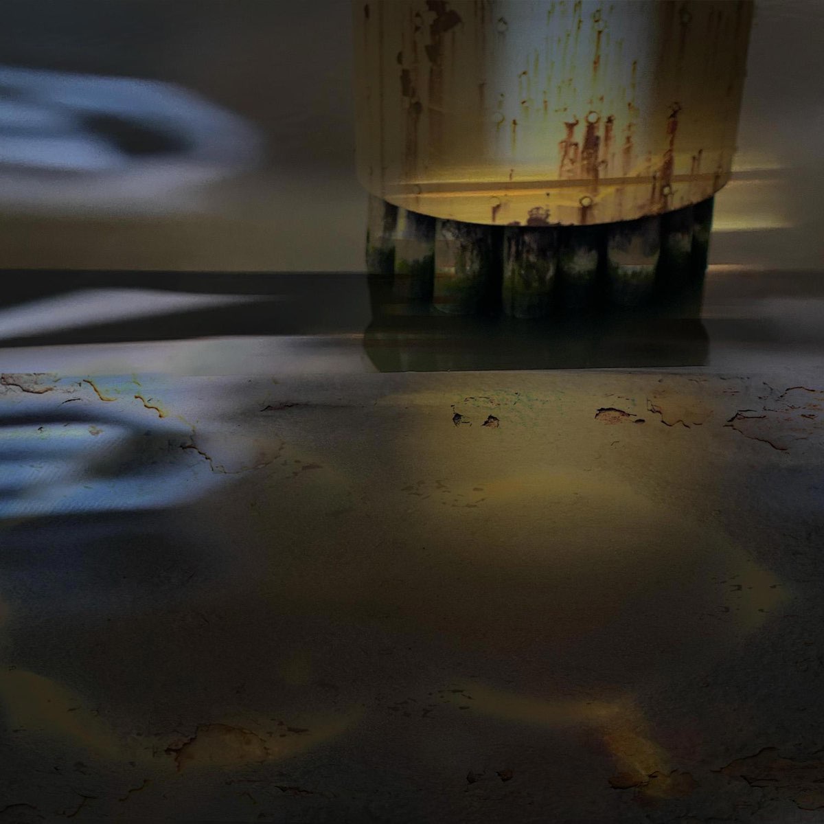 ‎Sora (feat. Beau Jarvis, Miki Jarvis & Jason Hoban) - Single by ...