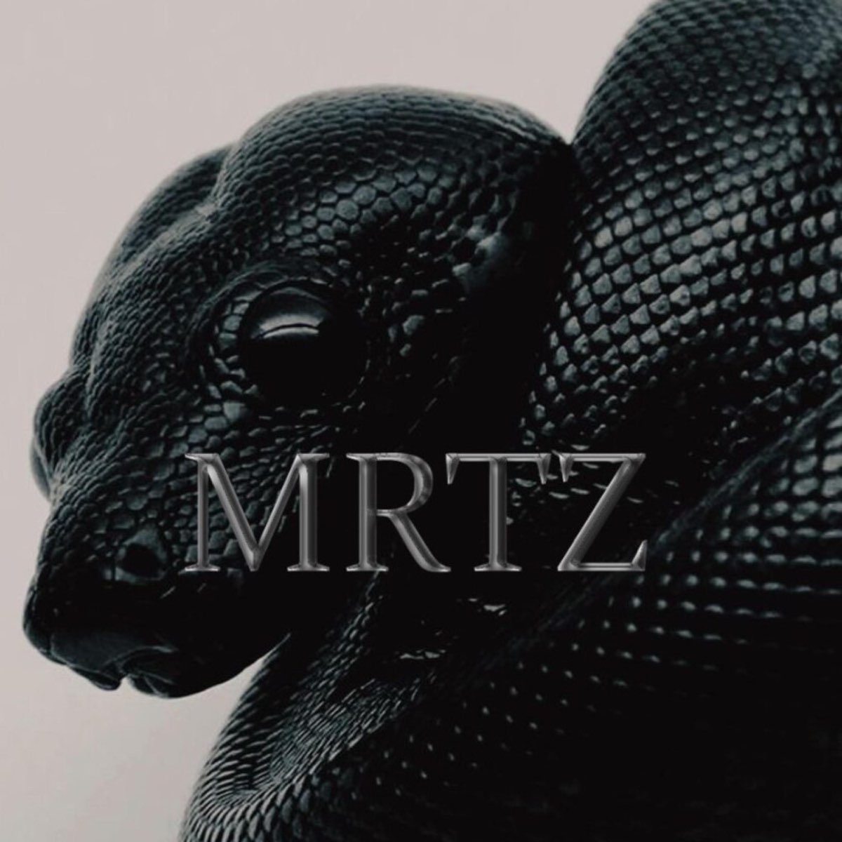 ‎A Life To Remember - Single - Album by MRTZ - Apple Music
