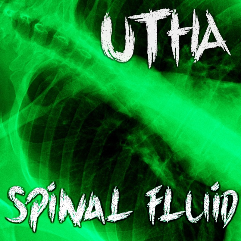 Spinal Fluid - UTHA: Song Lyrics, Music Videos & Concerts