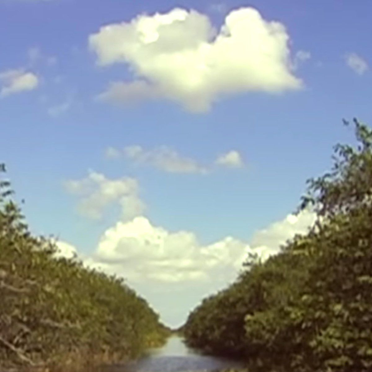 ‎Conical Depression - Single – Album par FRAG TOKENS – Apple Music