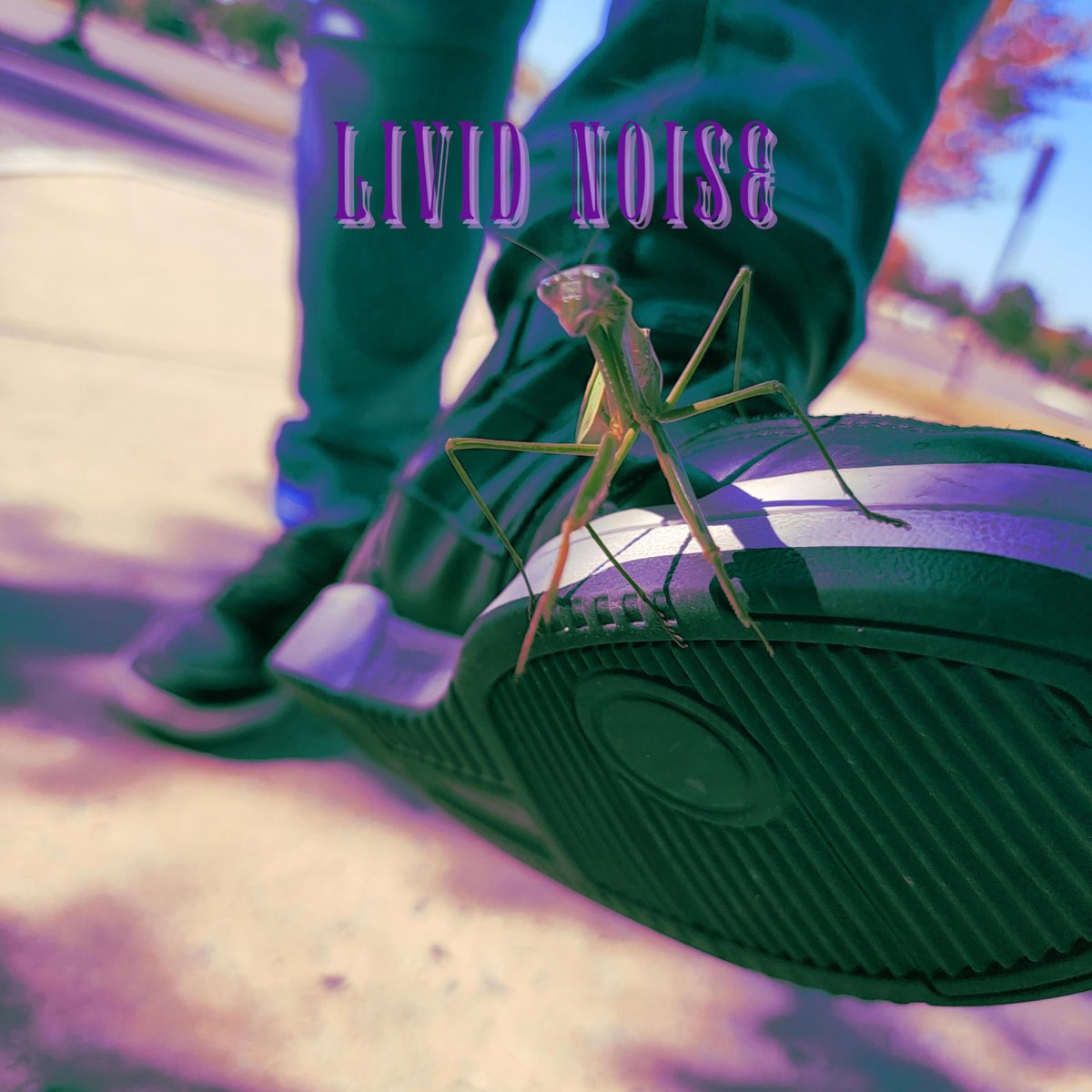 ‎Livid Noise - Album by Livid Noise - Apple Music