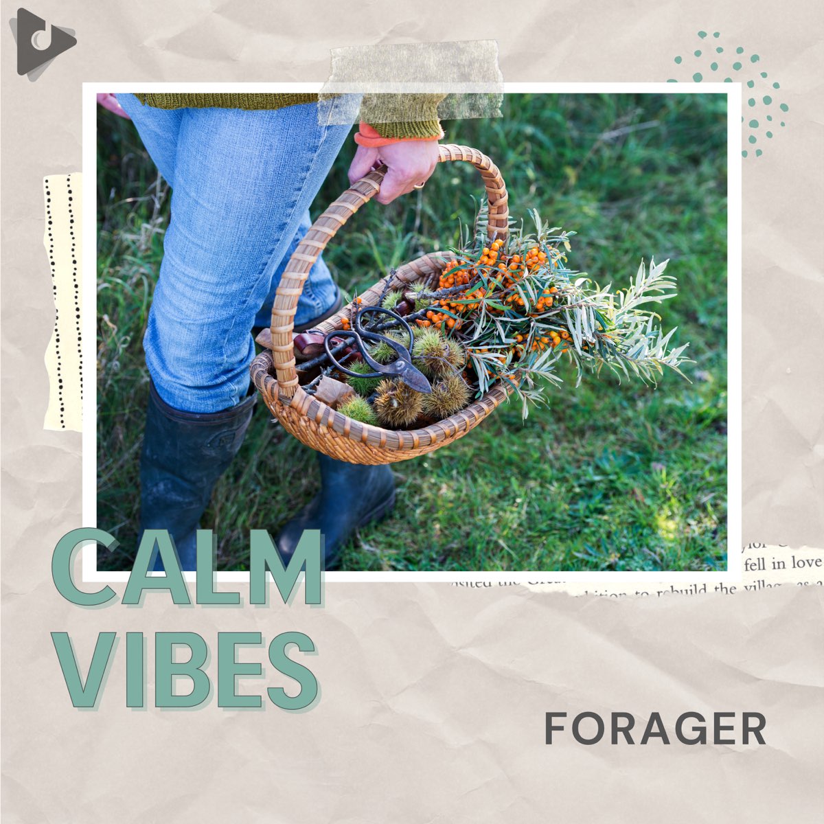 ‎Forager - Single - Album by Calm Vibes & Sounds of Nature Relaxation ...