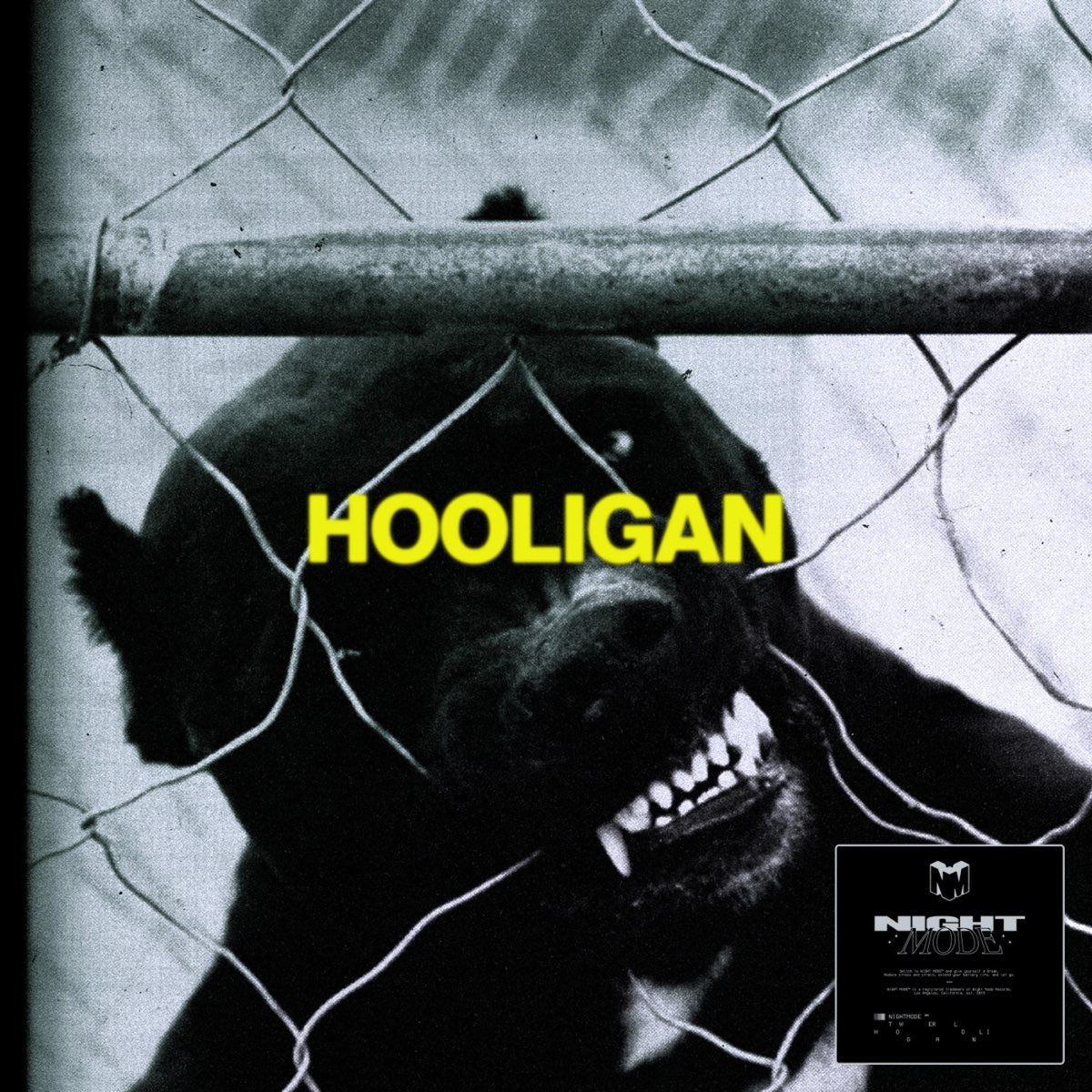 ‎Hooligan - Single - Album by TWERL - Apple Music