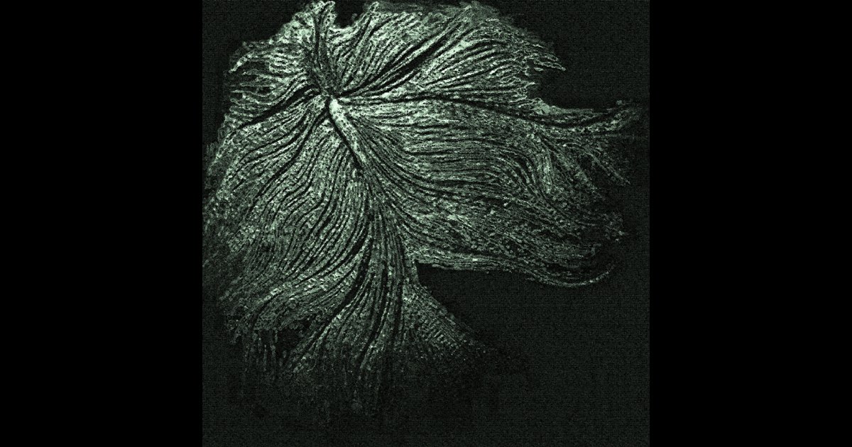 ‎Laniakea. - EP - Album by Nezzus - Apple Music
