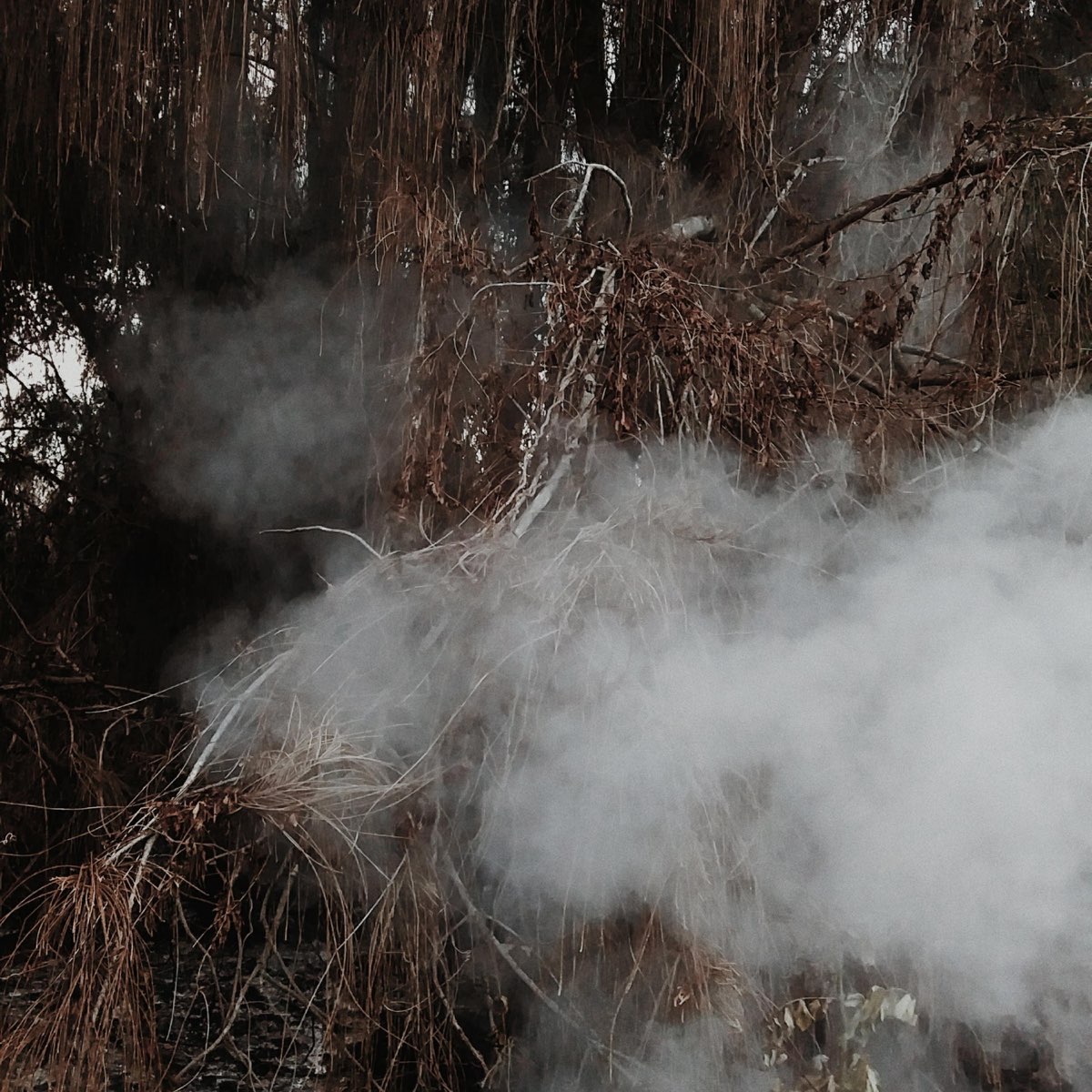 ‎Brutal Romantic (feat. Thelma Costolo & Tyler Costolo) - Single ...