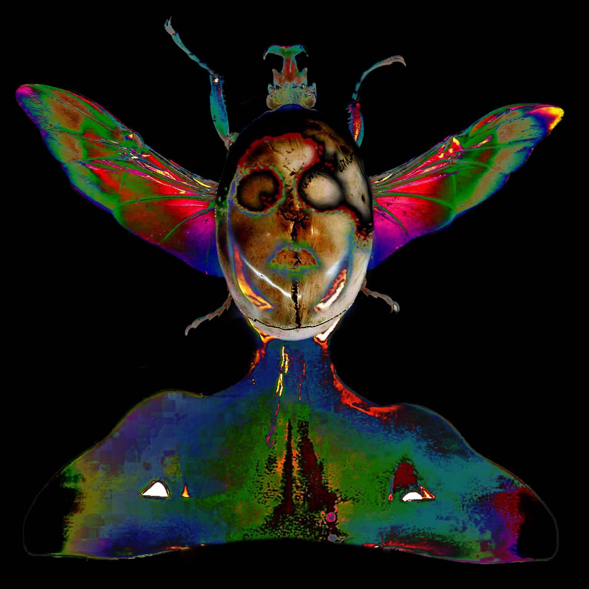 ‎The Storm by Alice Asher Lavender La Carpentress E Felix II on Apple Music