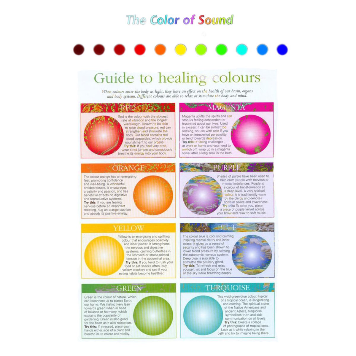 ‎The Color of Sound - Album by Zev Stieglitz - Apple Music