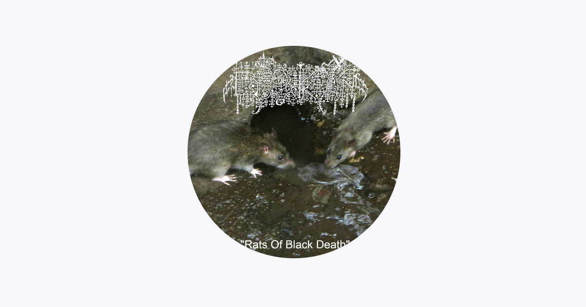 ‎Bloody Keep - Apple Music