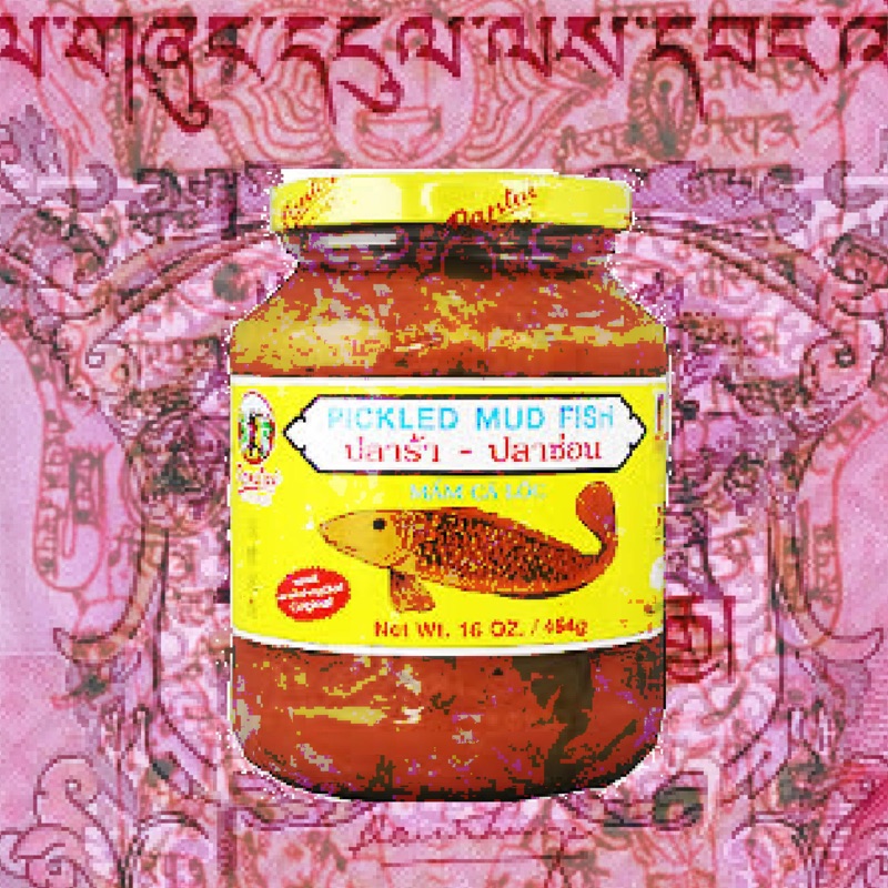 Pickled Mud Fish - Caff: Song Lyrics, Music Videos & Concerts