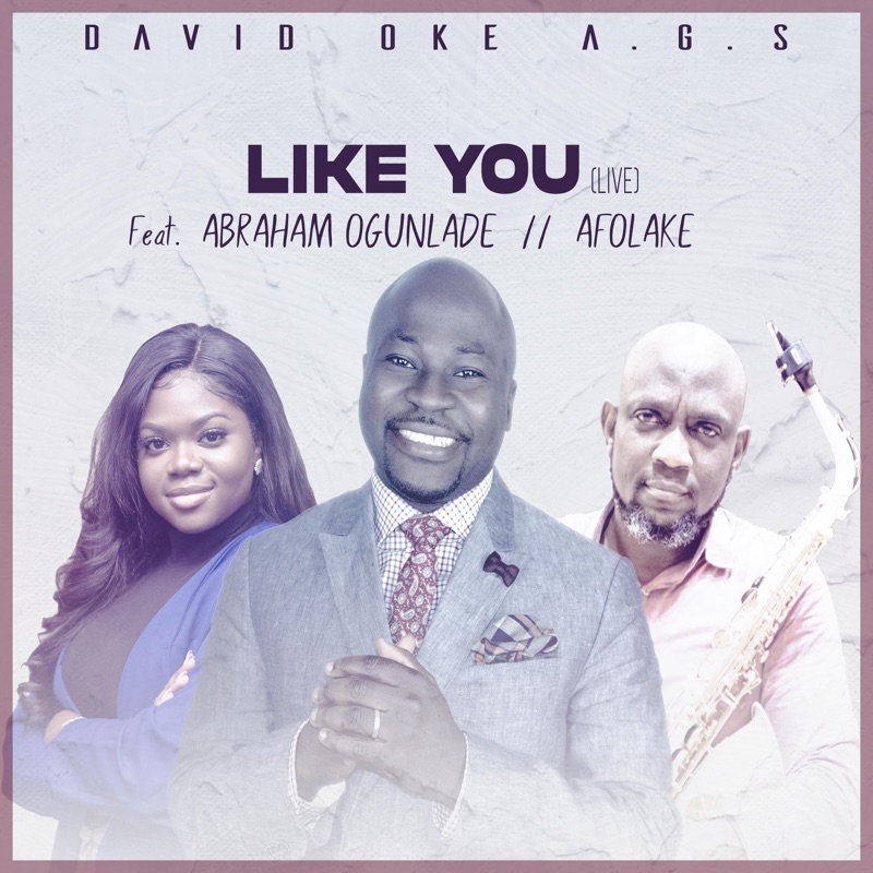 Like You (feat. Afolake & Abraham Ogunlade) [Live] - David Oke A.G.S: Song Lyrics, Music Videos ...