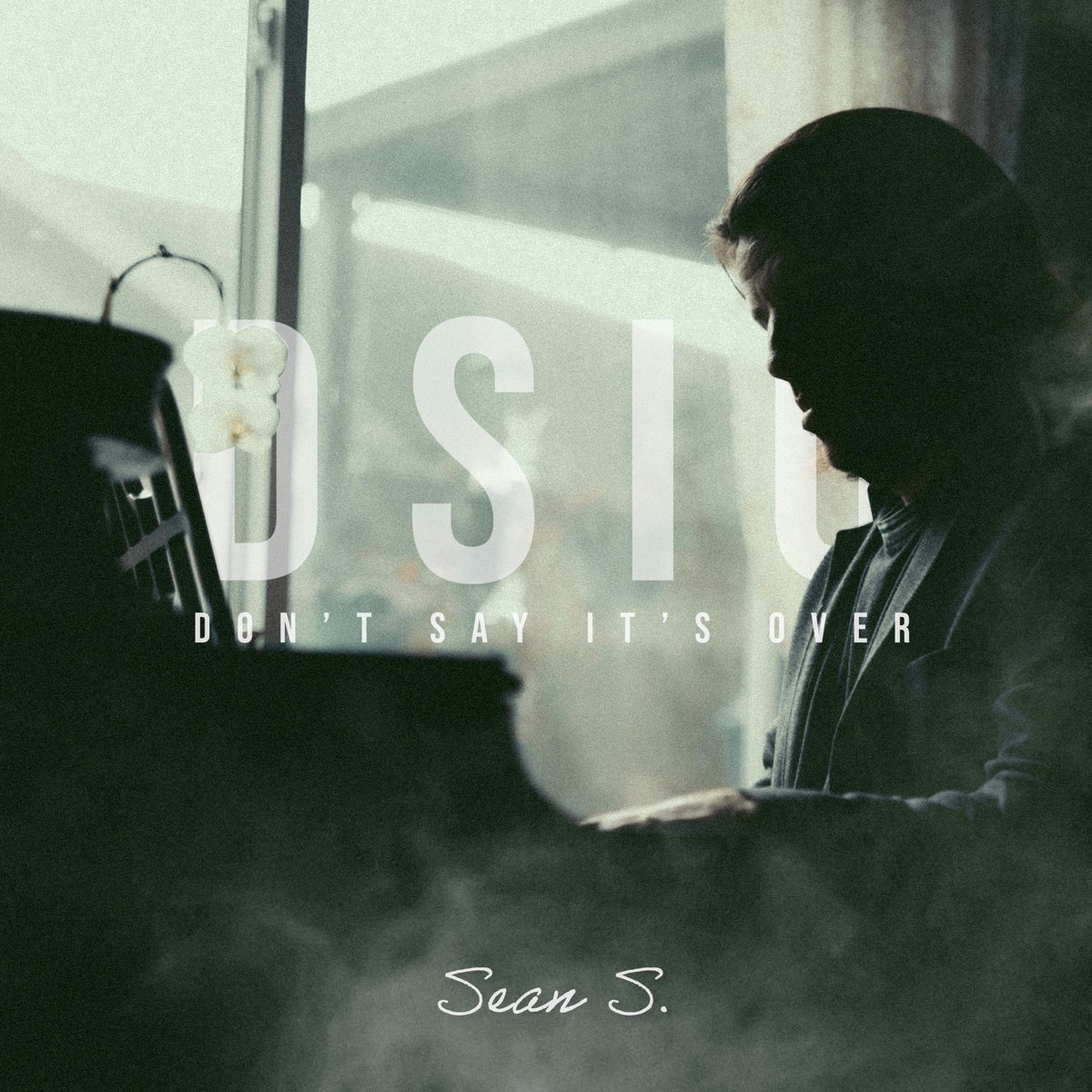 ‎DSIO (Don't Say It's Over) - Single - Album by Sean Strelecki - Apple ...
