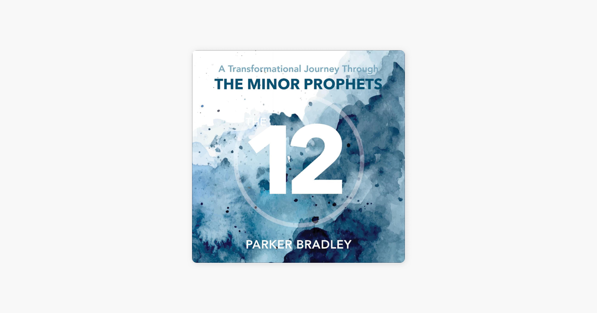 ‎The Twelve: A Transformational Journey through the Minor Prophets ...