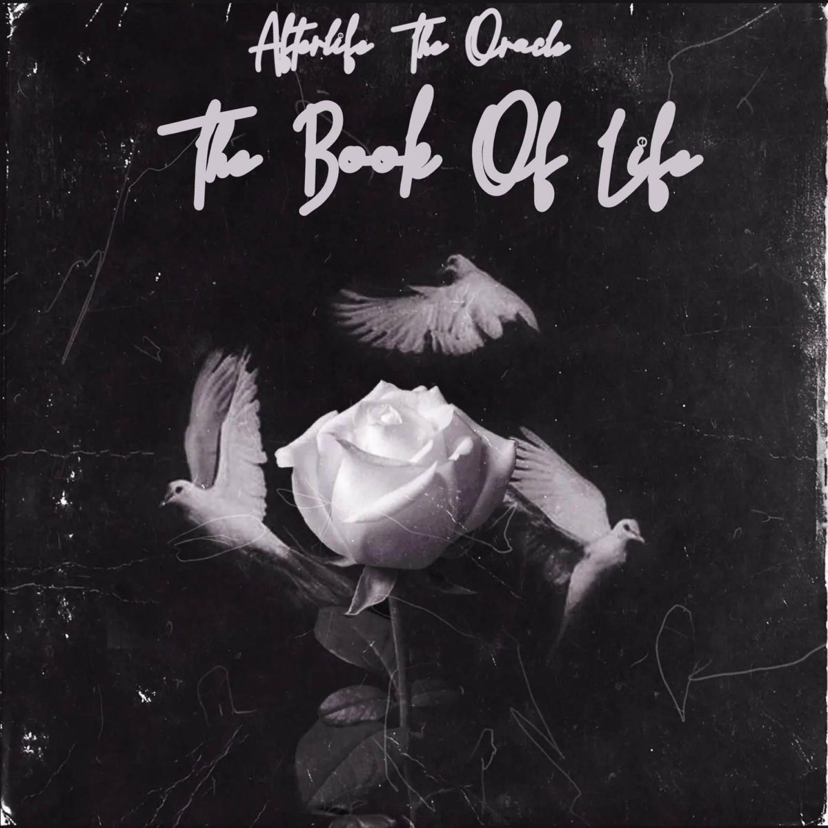 ‎The Book Of Life - Album by Afterlife The Oracle - Apple Music