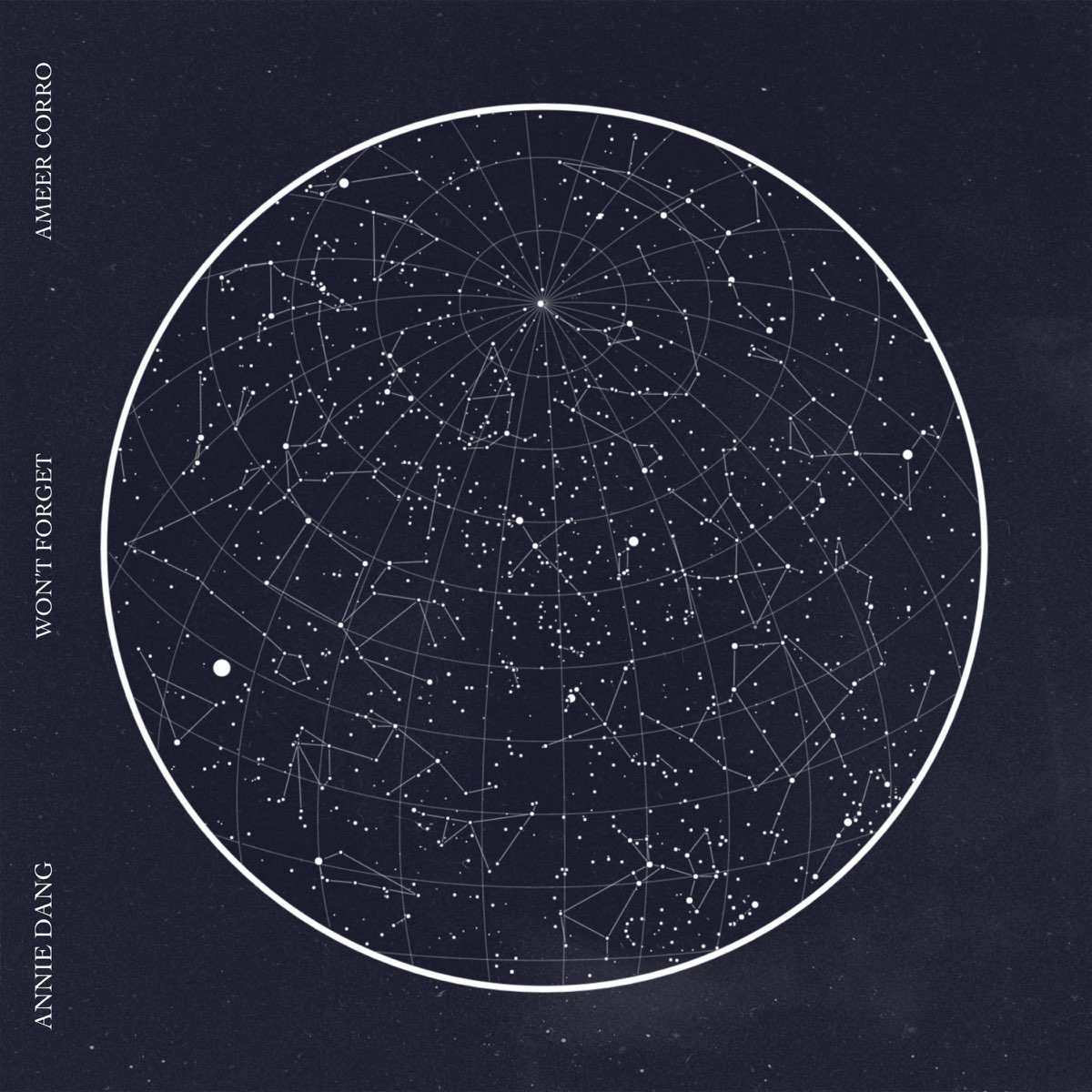 ‎Won't Forget - Single - Album by Annie Dang & Ameer Corro - Apple Music