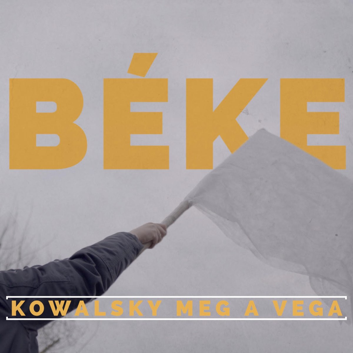 ‎Béke (feat. Szebényi Dániel) - Single - Album by Kowalsky Meg A Vega ...