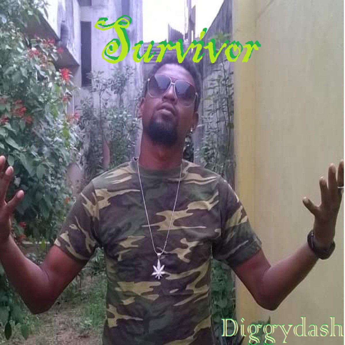 Survivor - Single》- Diggydash的专辑 - Apple Music