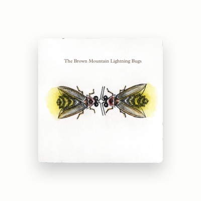 The Brown Mountain Lightning Bugs concert - Elkin, Angry Troll Brewing ...