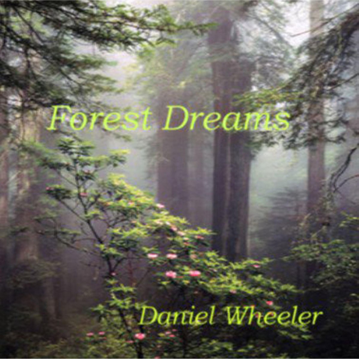 Forest Dreams》- Daniel Wheeler的专辑 - Apple Music