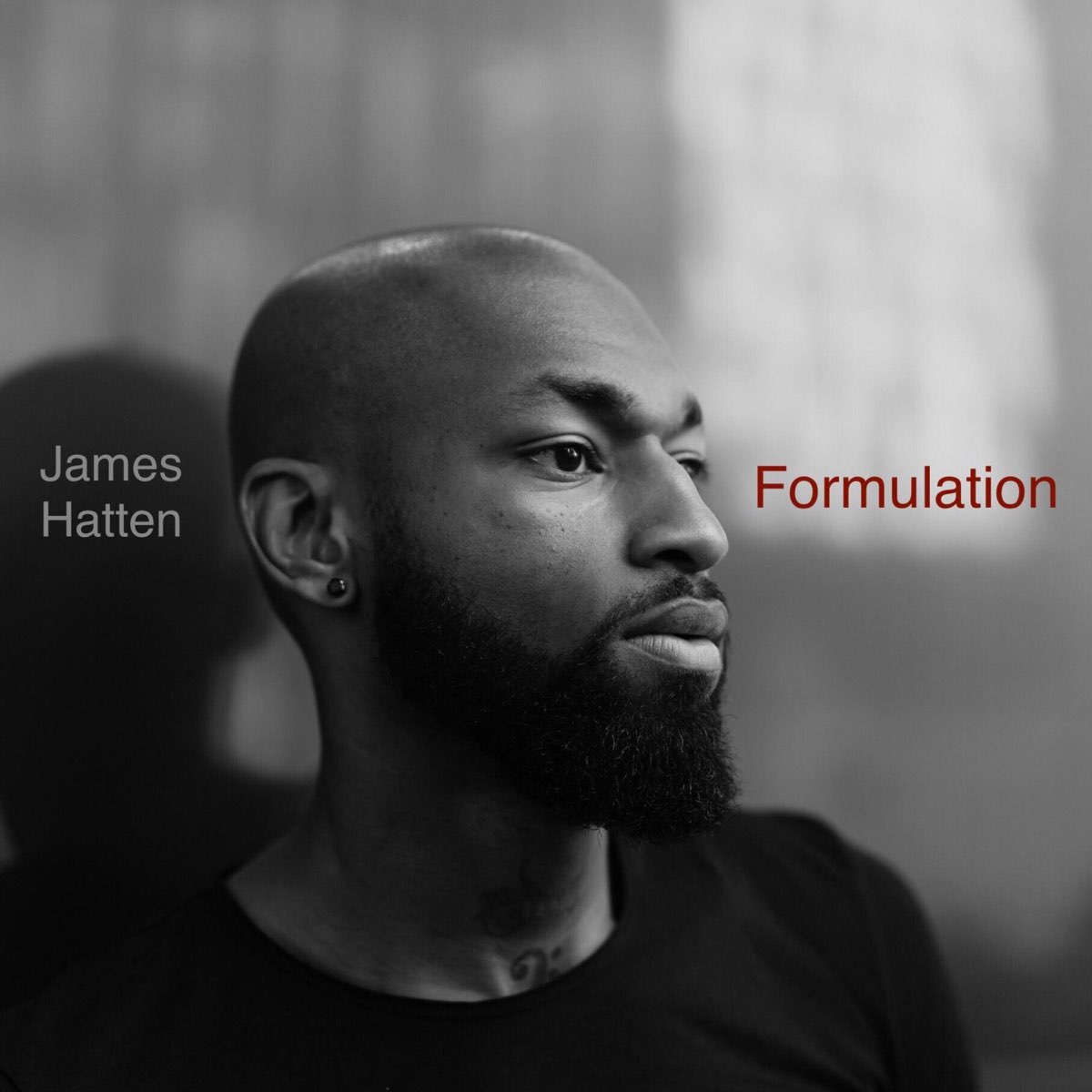 Formulation》- James Hatten的专辑 - Apple Music