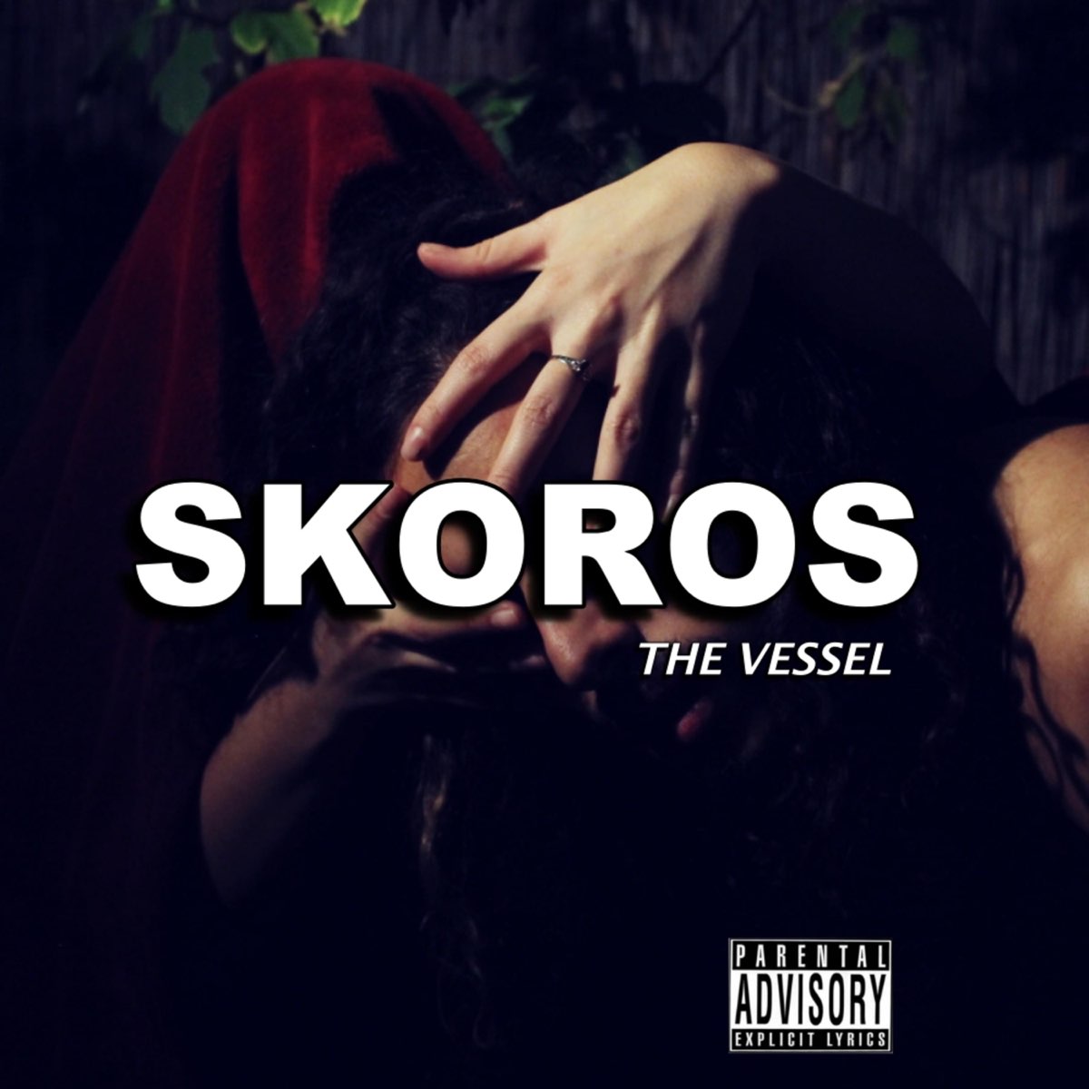 The Vessel》- Skoros的专辑 - Apple Music