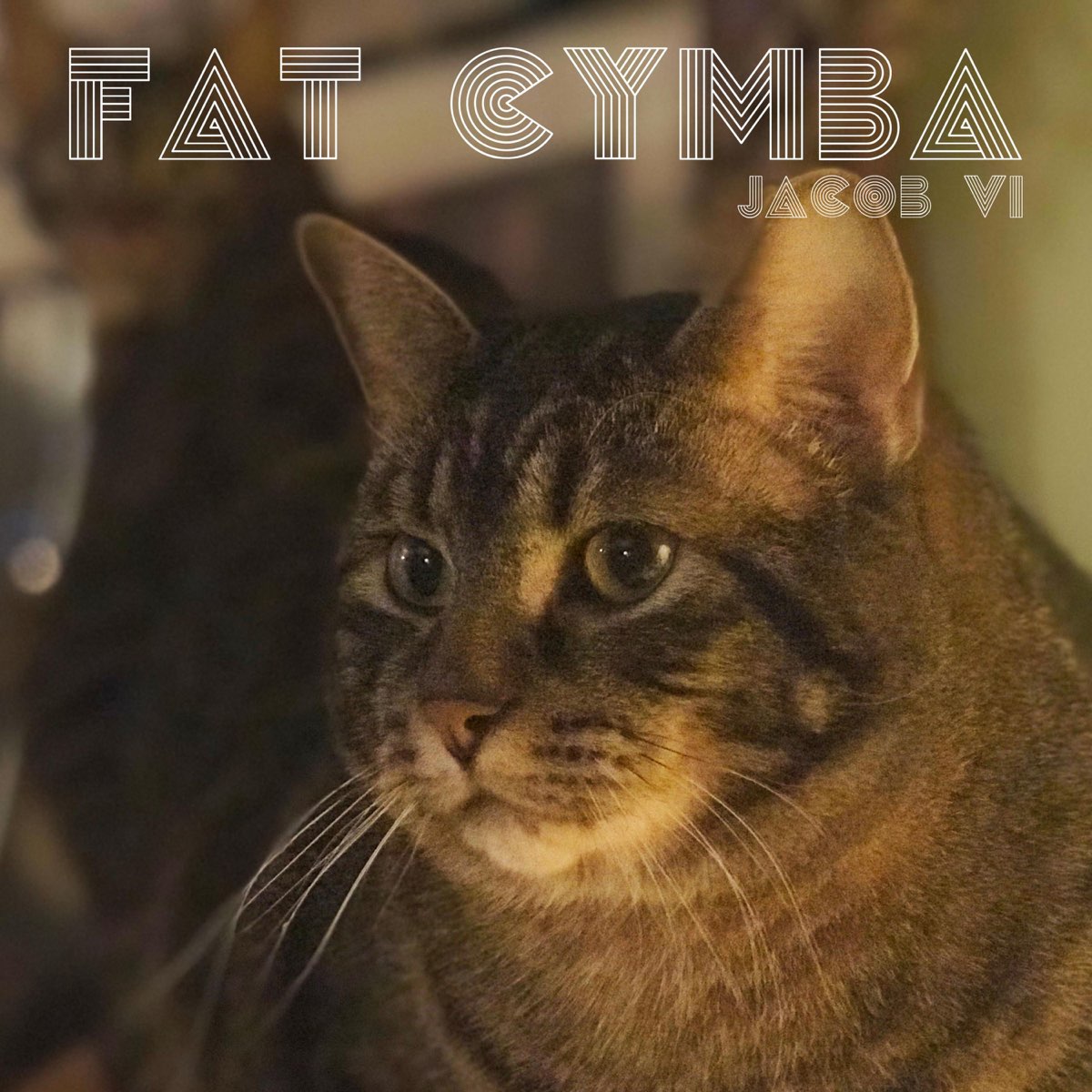 Fat Cymba - EP》- Jacob Vi的专辑 - Apple Music
