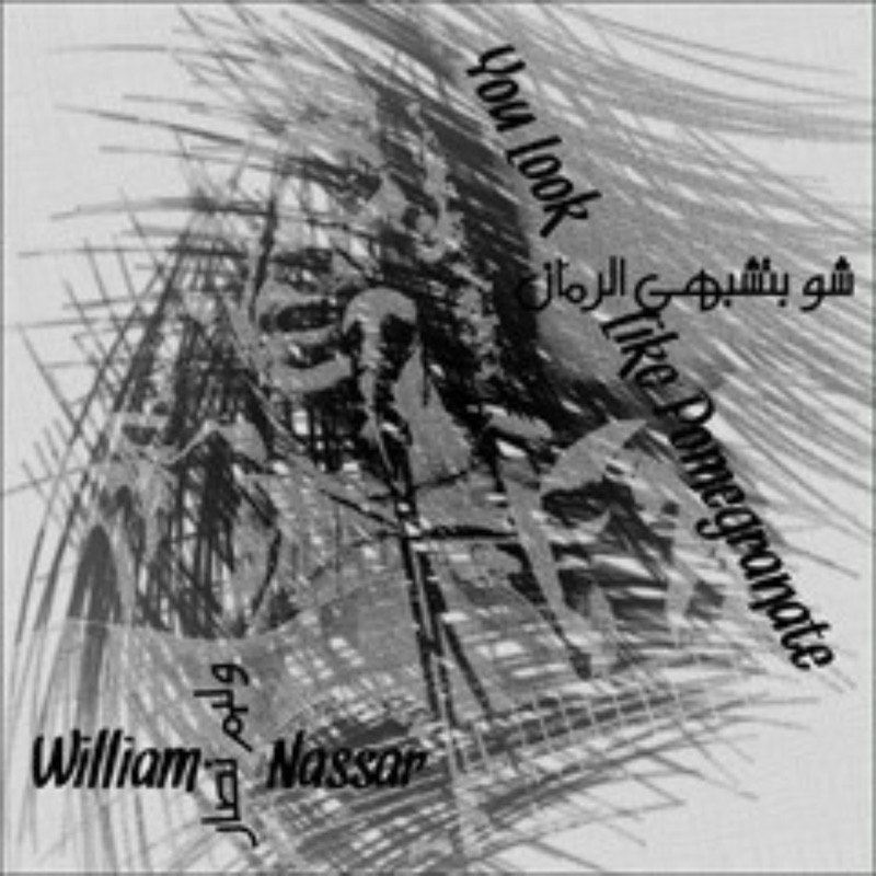 Build Your Castles - William Nassar: Song Lyrics, Music Videos & Concerts Build Your Castles - William Nassar: Song Lyrics, Music Videos & Concerts