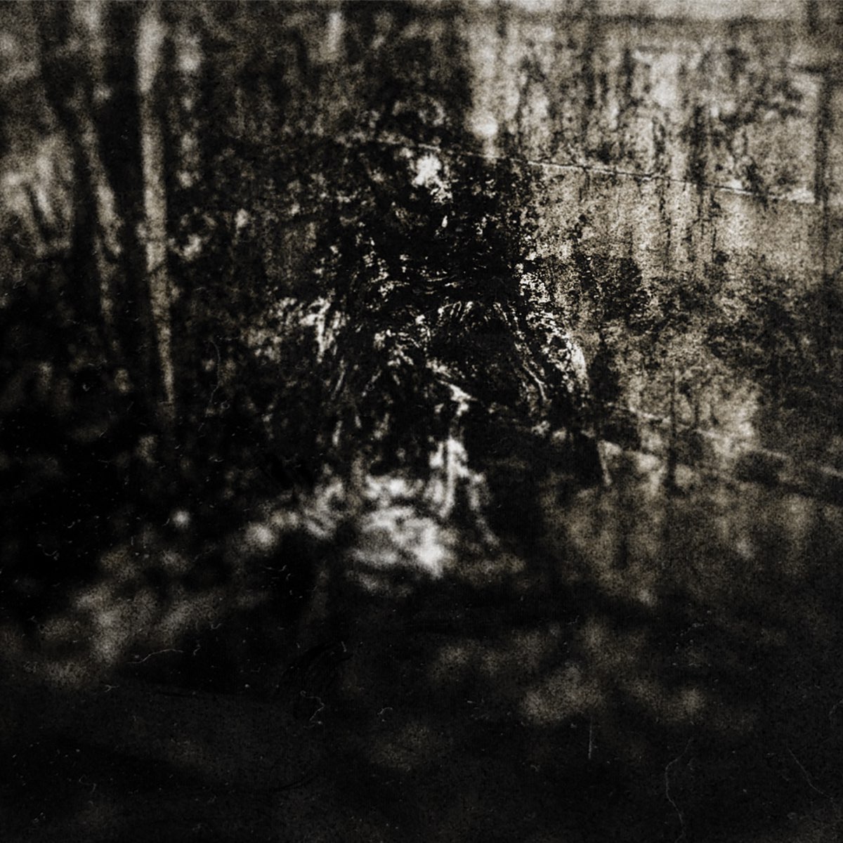 ‎MoRT - Album by Blut aus Nord - Apple Music